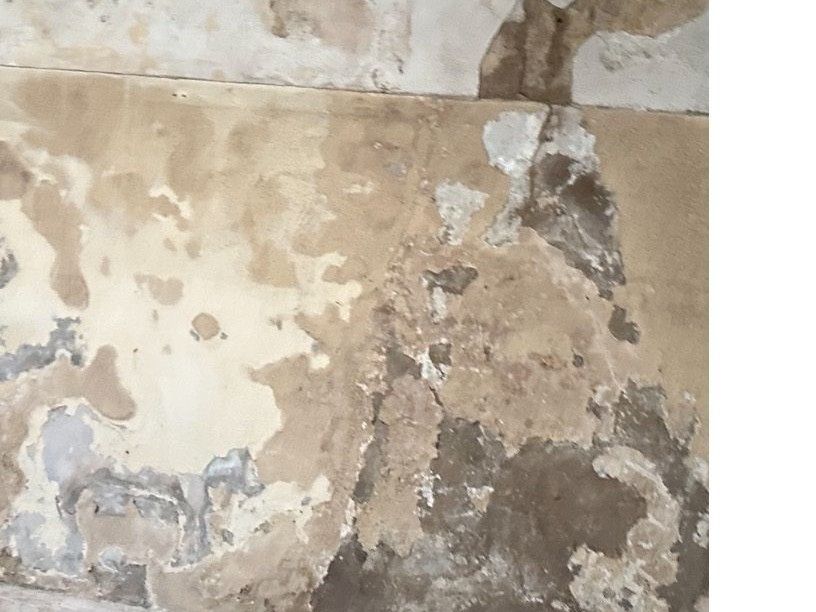 Schimmelbekämpfung mit Drymat: Ein gesundheitsförderndes Projekt in ...