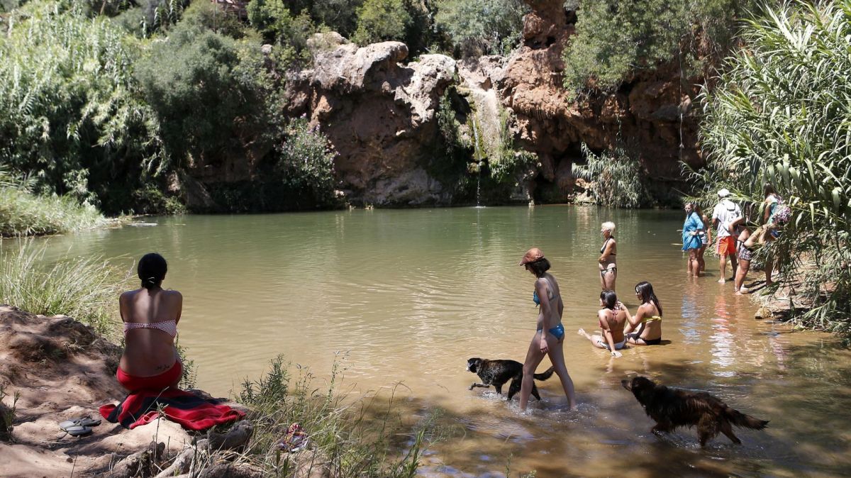 The end of Albufeira Bullring as we know it - The Portugal News