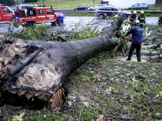 2,434 incidents due to bad weather in Portugal - The Portugal News