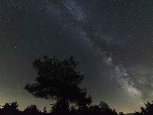 The rise of noctourism- and the best places to do it - The Portugal News