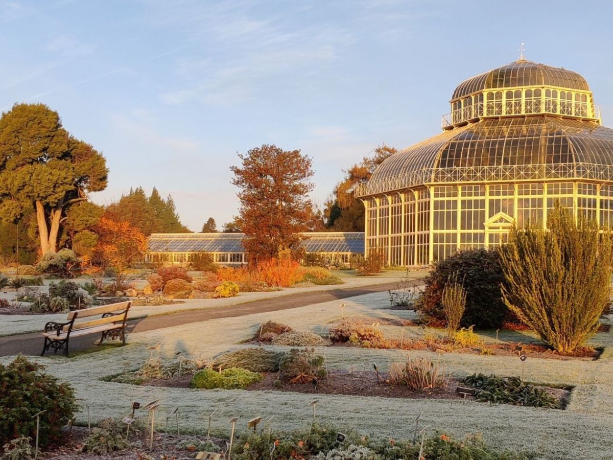 The National Botanic Gardens Presents its Display of Illuminated ...
