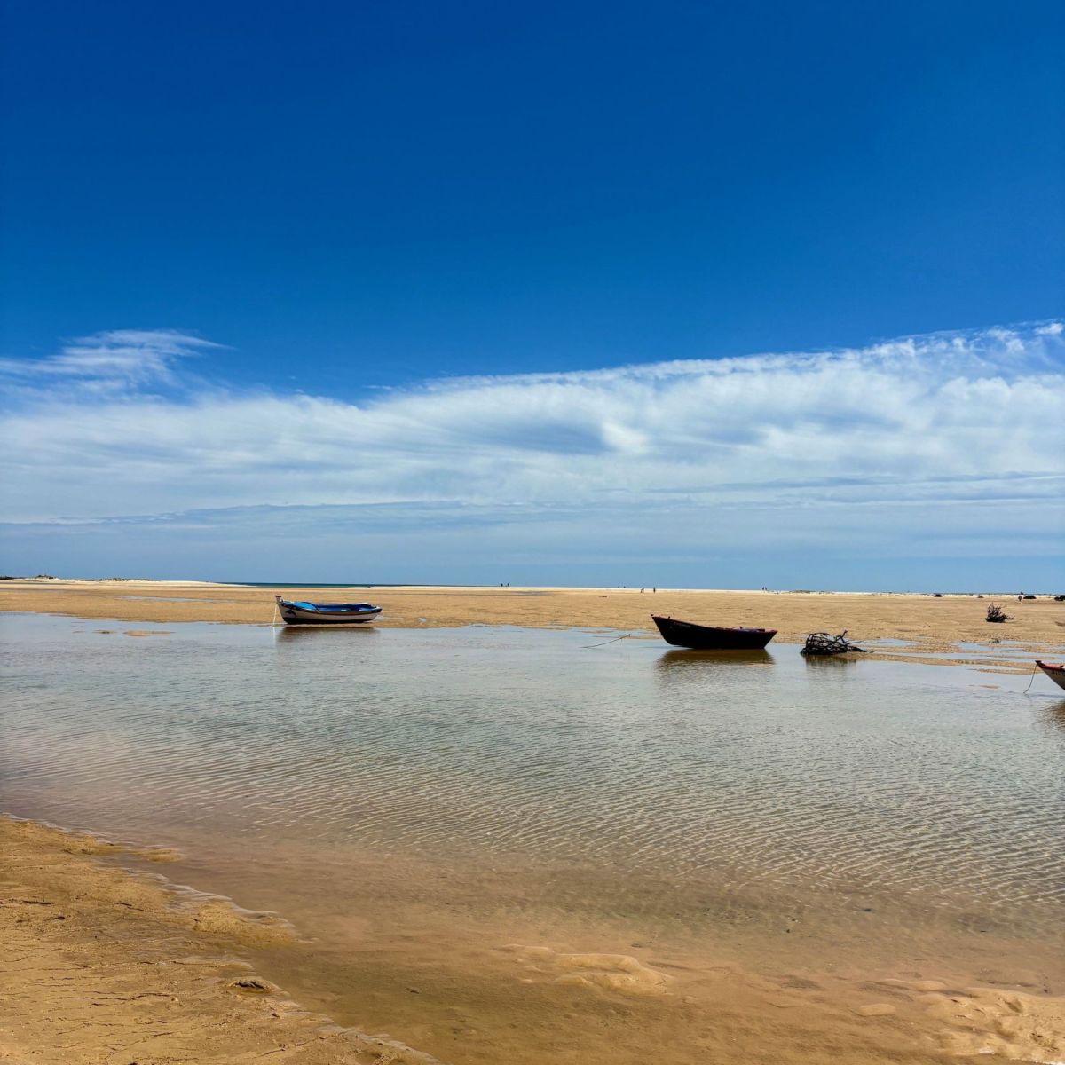 Algarve, Portugal section - The Portugal News