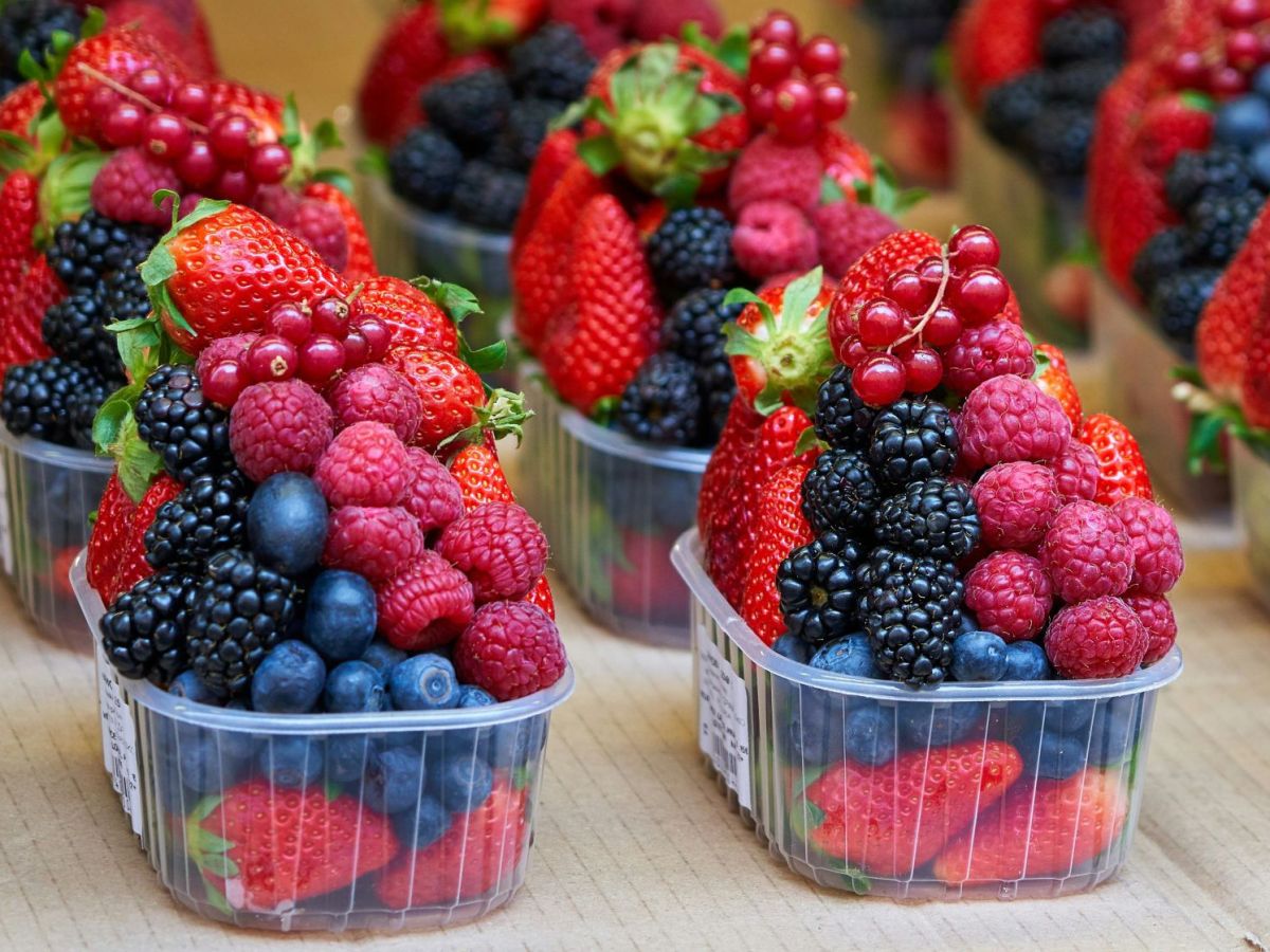 Produção de frutos silvestres triplica em Portugal - The Portugal News
