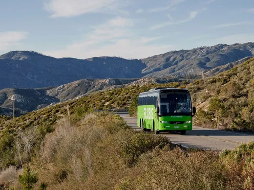 FlixBus anuncia nova rota em Portugal - The Portugal News
