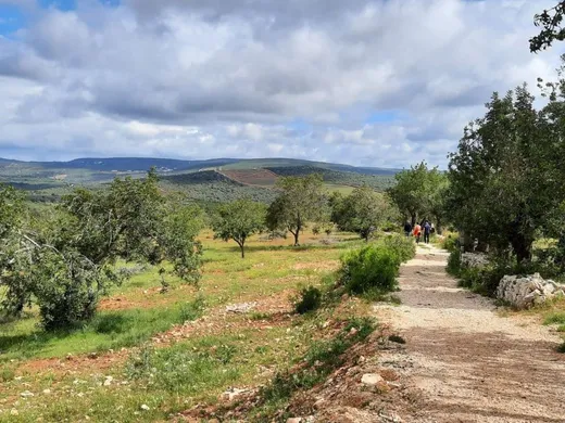 New Algarve walking routes - The Portugal News